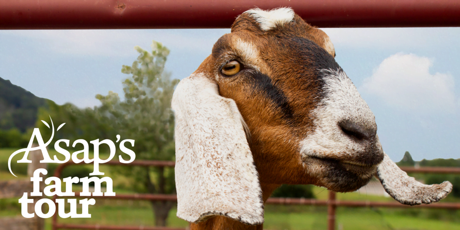 ASAP's Farm Tour - ASAP Connections