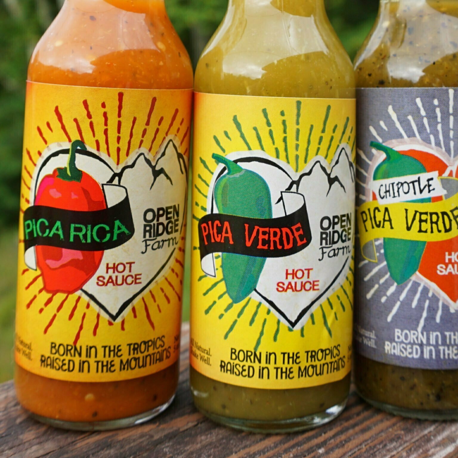 Farm-to-Bottle Hot Sauce in the Mountains - ASAP Connections